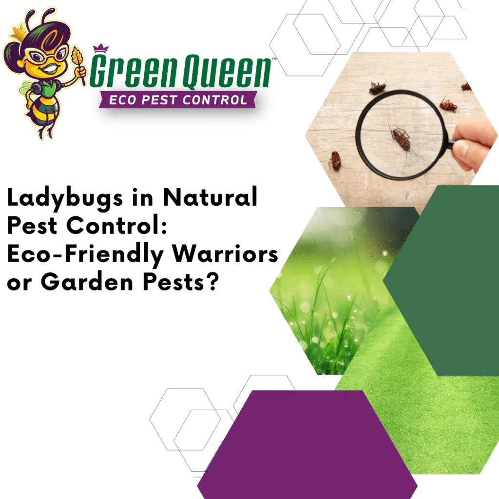 Ladybugs: Role in Maintaining a Healthy Garden - The Green Queen Pest ...