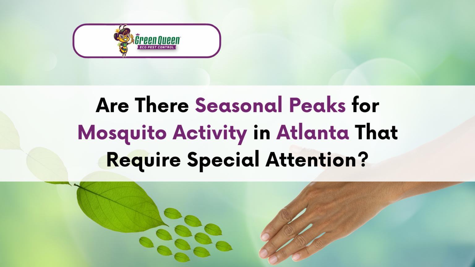 Understanding Seasonal Mosquito Activity Peaks in Atlanta - The Green Queen