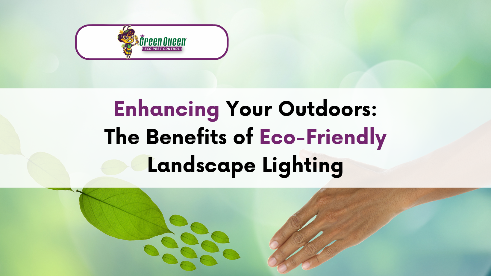 Enhance Your Outdoors with Eco-Friendly Landscape Lighting - The Green ...