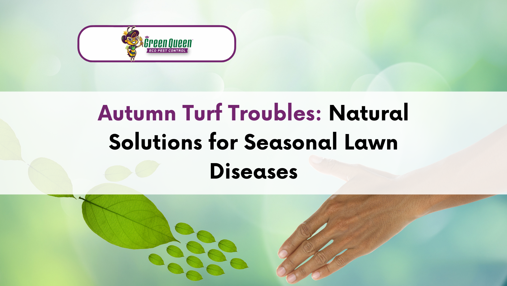 Natural Solutions for Autumn Turf Diseases - The Green Queen